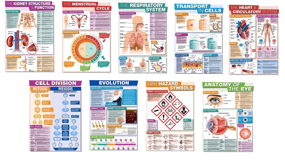 GCSE Science: Biology - 9 A3 Educational Posters – Tiger Moon