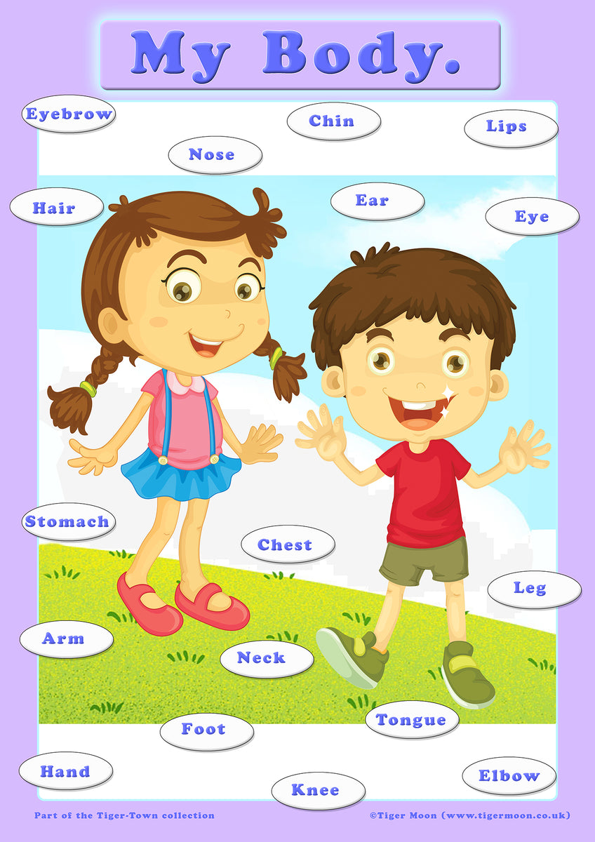 My Body poster - A2 – Tiger Moon