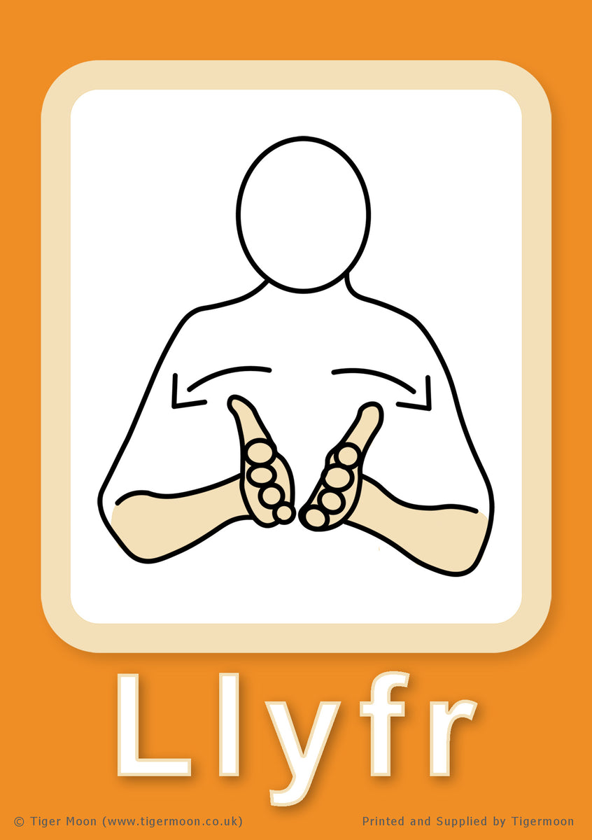 Makaton 20 Basic Signs Flashcards A6 - Welsh – Tiger Moon