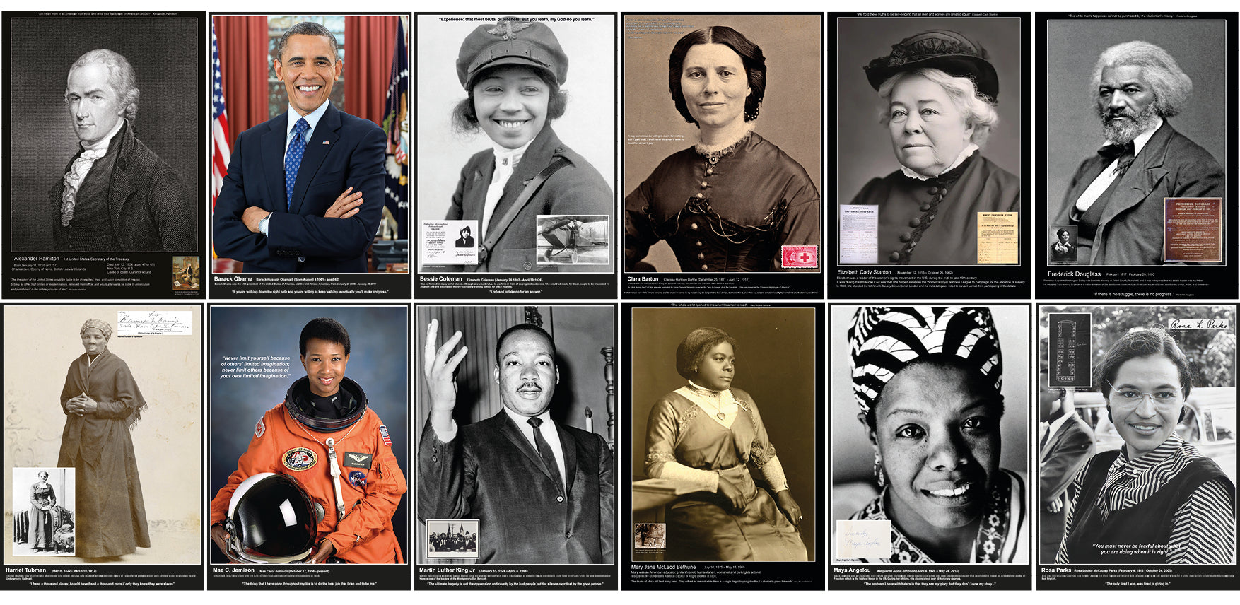 Set of 12 African American Heroes - A3 – Tiger Moon