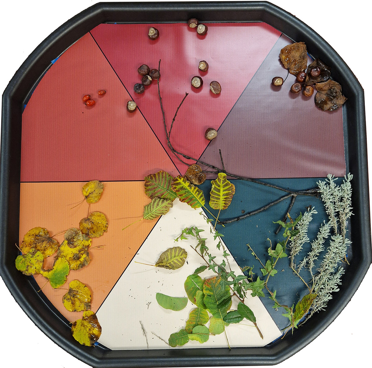 Autumn colour wheel Tuff Tray insert – Tiger Moon