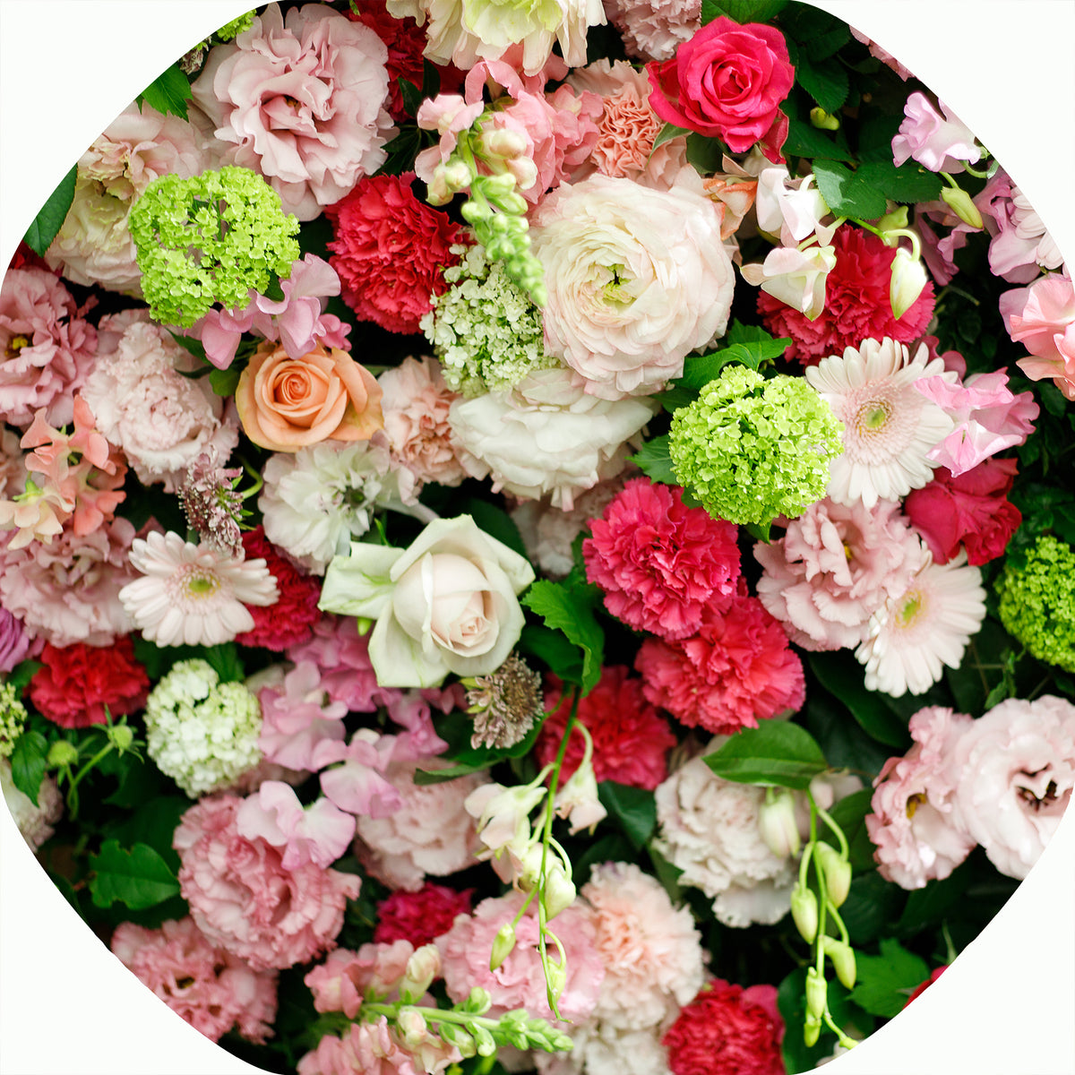 Flower Tuff Tray Mat Insert – Tiger Moon