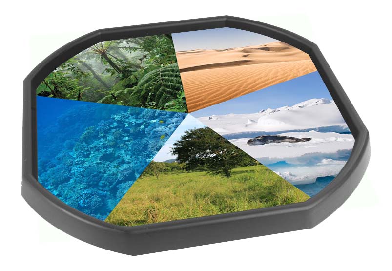 Animal Habitat Tuff Tray Mat Insert – Tiger Moon