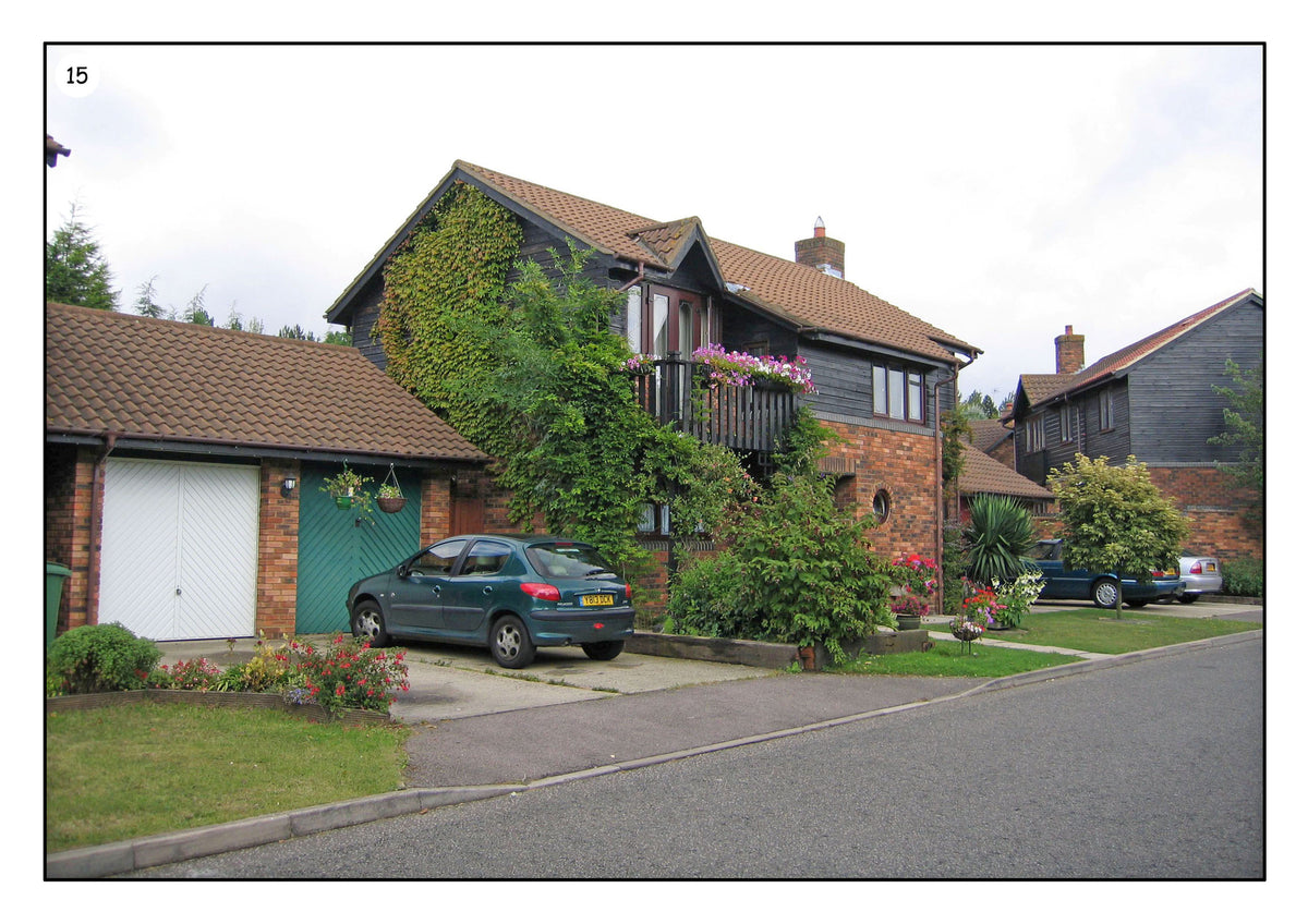 My Home Photo Pack – Tiger Moon