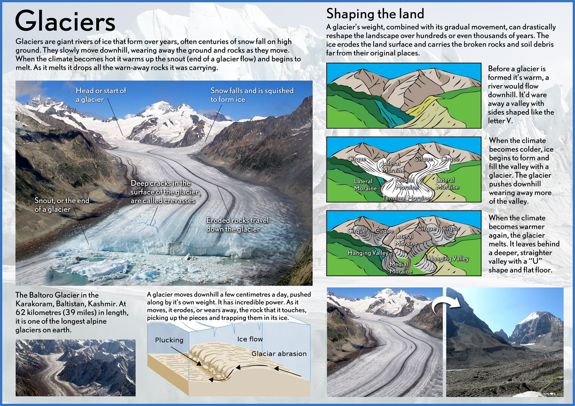 Science Posters – Tiger Moon