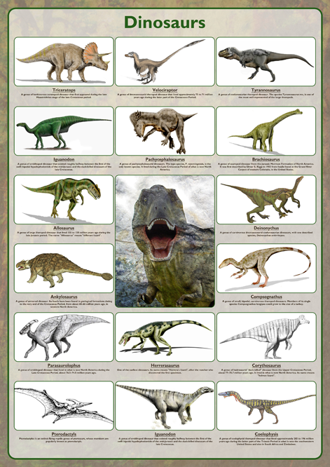 Dinosaur Species Poster – Tiger Moon