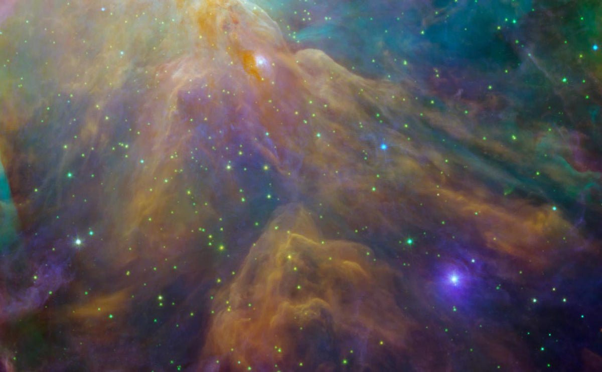 Orion Nebula [DS2] – Tiger Moon