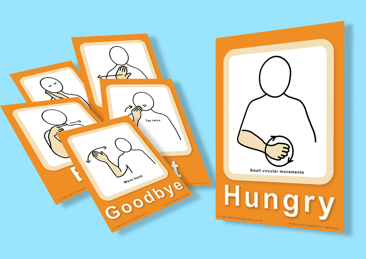 Makaton Basic Signs Flashcards A6 – Tiger Moon