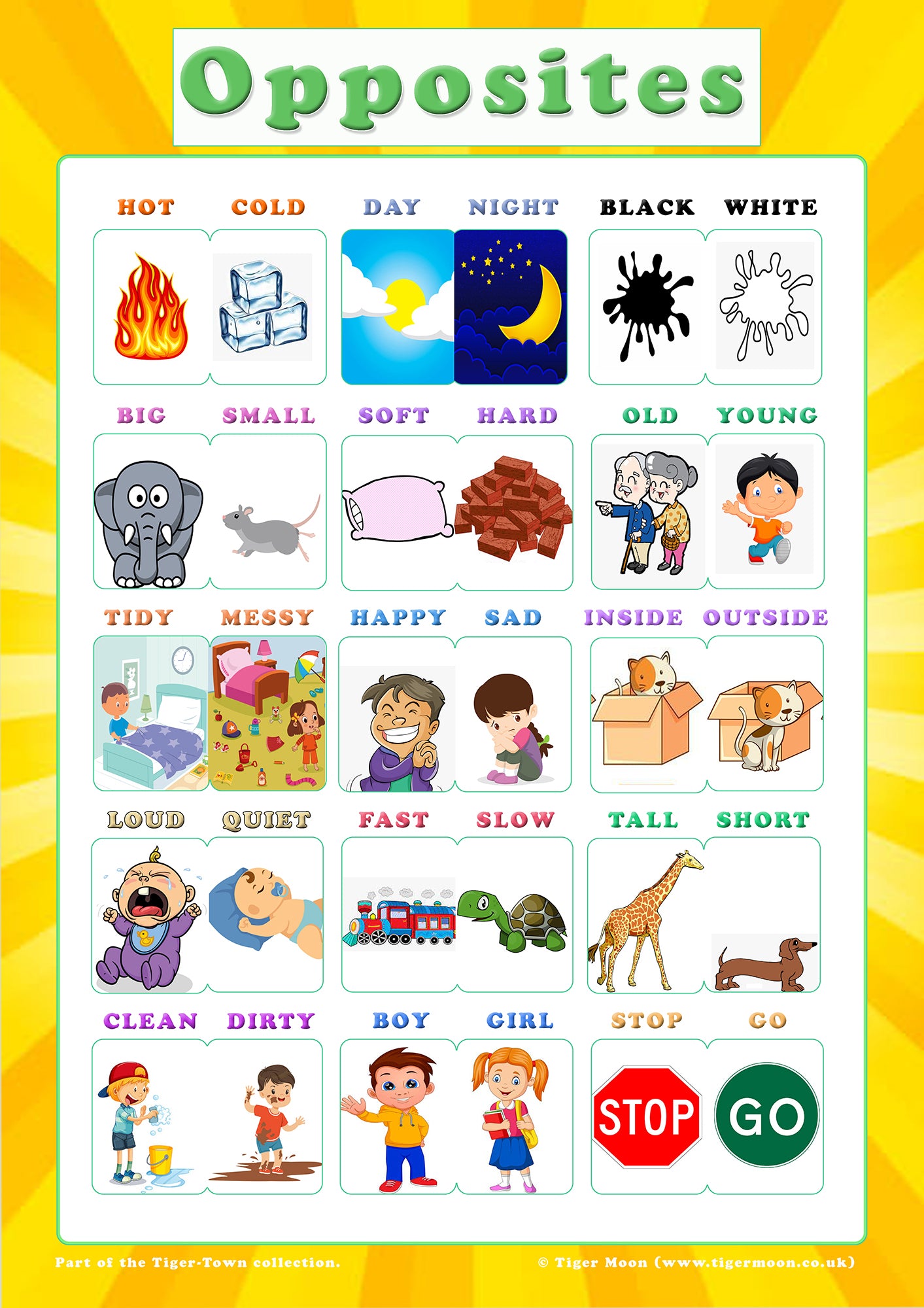 Opposites Posters Pairing Cards And A Student Book