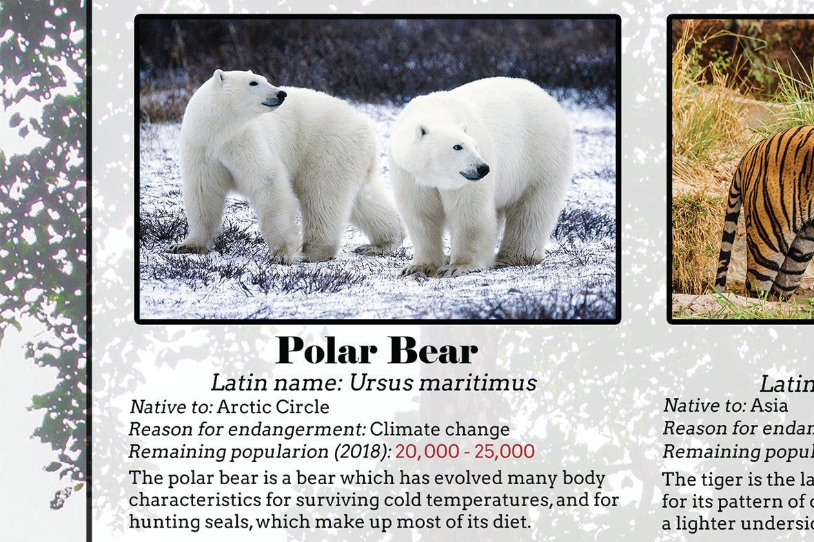 Endangered Species Poster Agriculture, Fisheries And Conservation